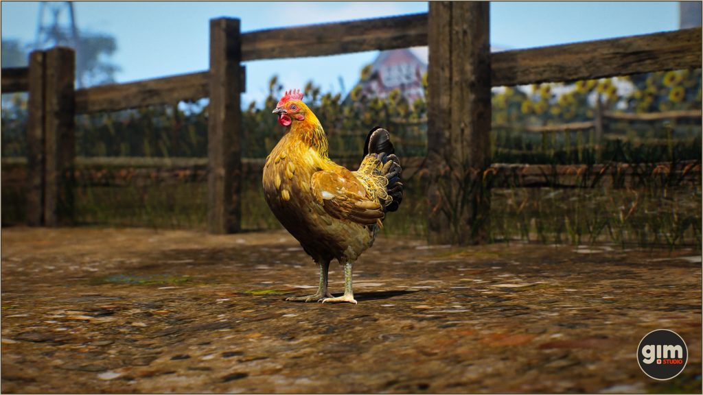 GiM - Chicken for Unreal Engine and Unity
